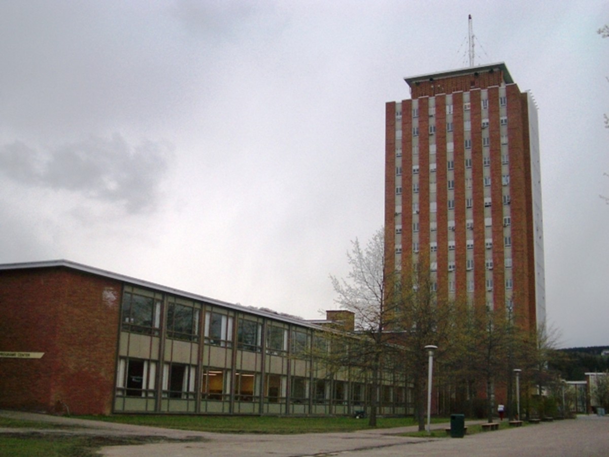 The Tilson Kids Are Going To Binghamton - Dealbreaker