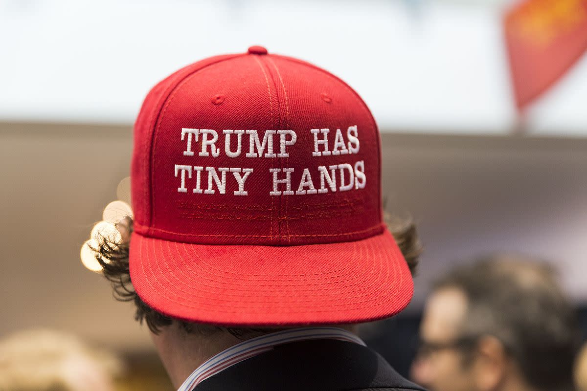 Does The First Amendment Protect The Right To Make Fun Of Trump's ...