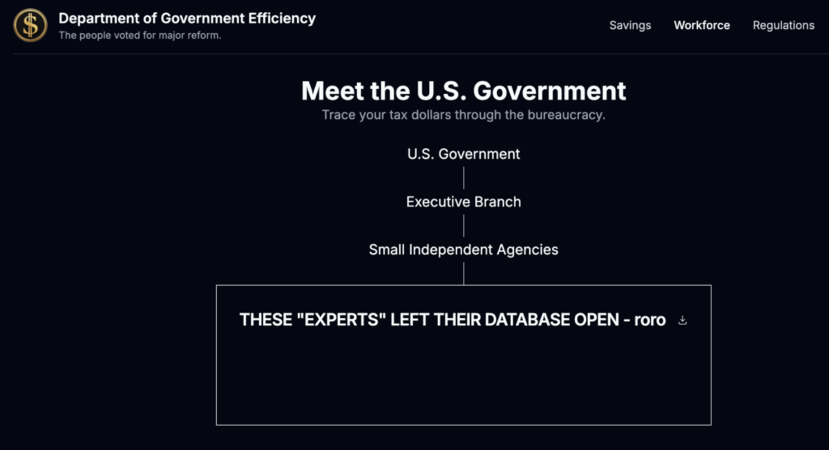 Elon Musk’s DOGE Can’t Even Secure A Website, Let Alone The Government ...